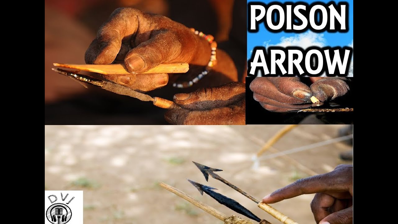 Bow and Arrow with Poison Tribes || Tribes Hunting Skills| DVJ - YouTube
