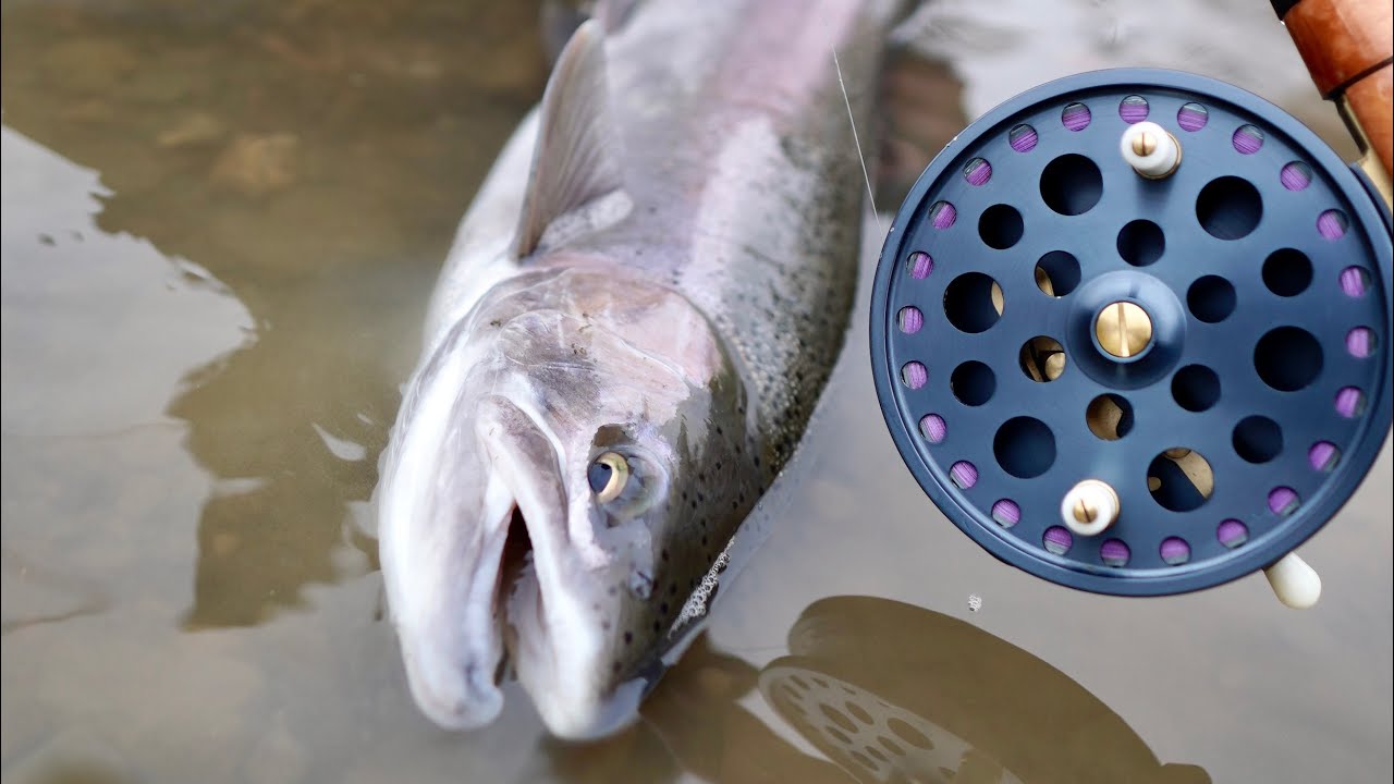Using $1000+ set up to catch winter Steelhead - Rig Rundown - YouTube