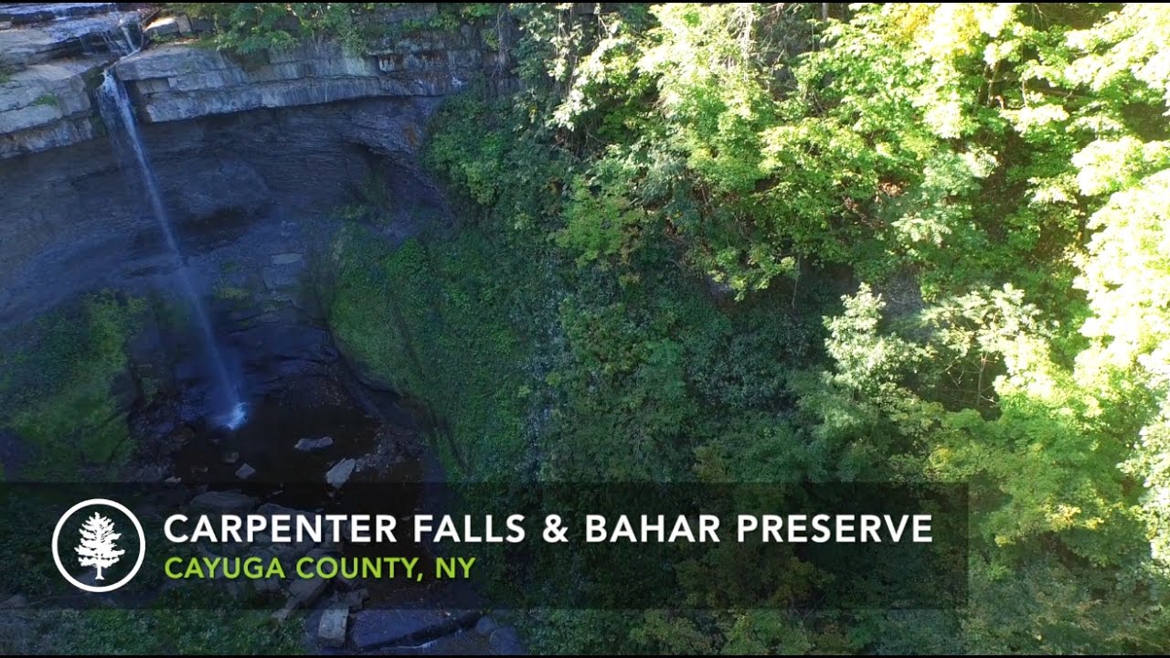 Carpenter Falls & Bahar Nature Preserve on the Shore of Skaneateles ...