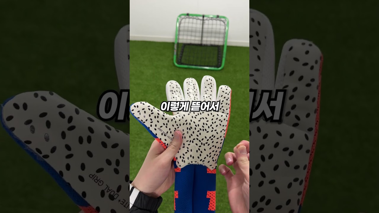 네이버 인플루언서