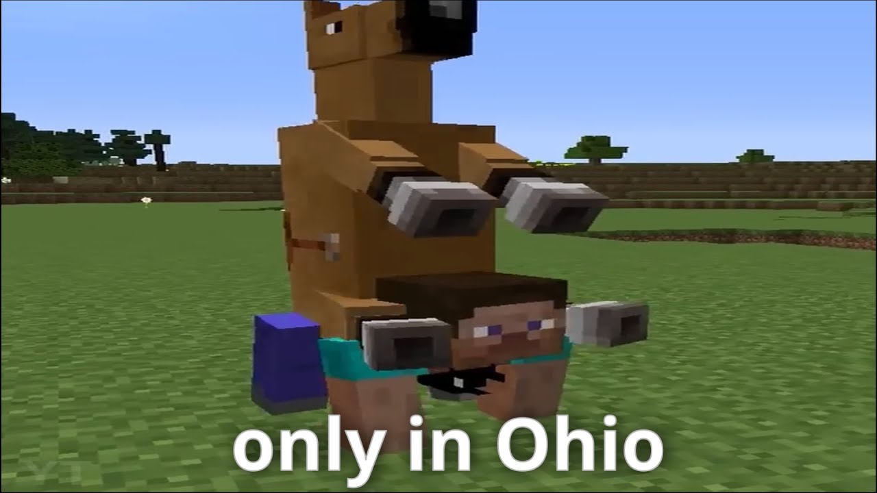Minecraft in Ohio💀 - YouTube