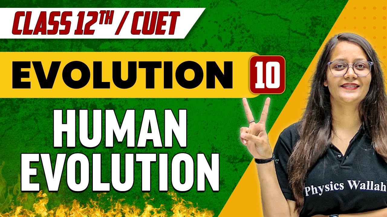 Evolution 10 | Human Evolution | Class 12th/CUET - YouTube