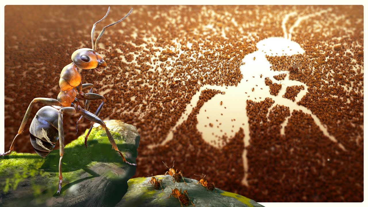Leading a Massive Ant Colony through a Battlefield of Different Insects ...