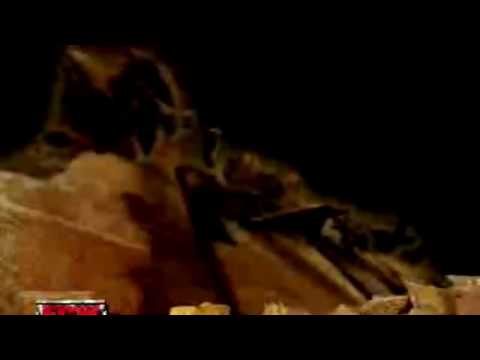 Big Show 15th Titantron  (2006 Heel ECW Entrance V