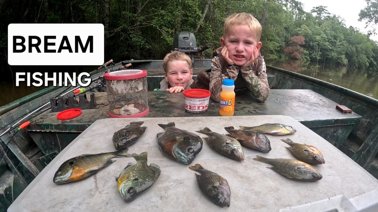 BREAM FISHING after a Lot of Rain!!! Florida River Swamp - YouTube