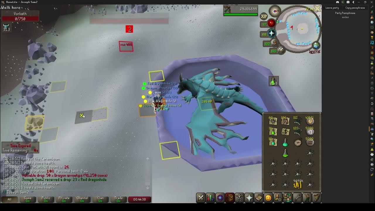 Echo 200 pts task: Kill 5 Vorkath in a row with no special damage - YouTube
