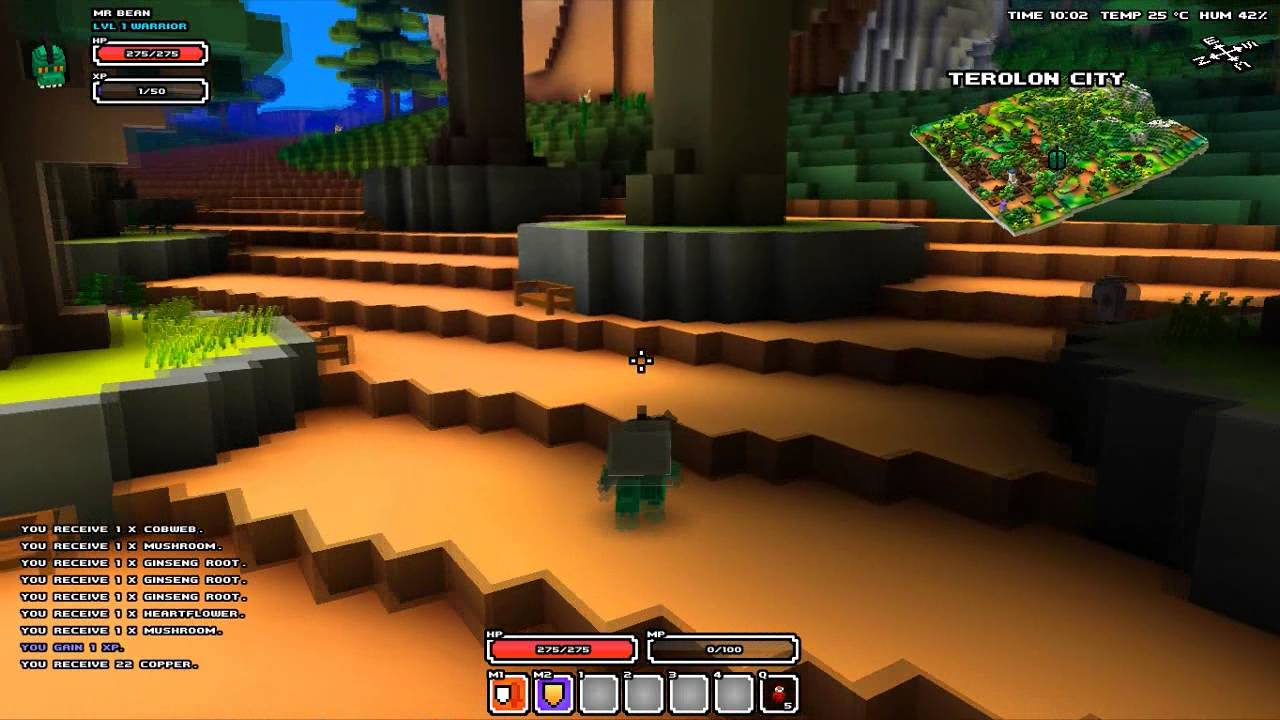 Cube world warrior - dopfuse