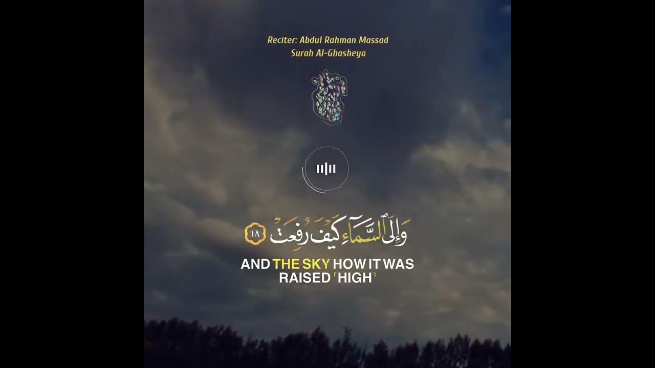 أفلا ينظرون إلى الإبل كيف خلقت من سورة الغاشية القارئ عبد