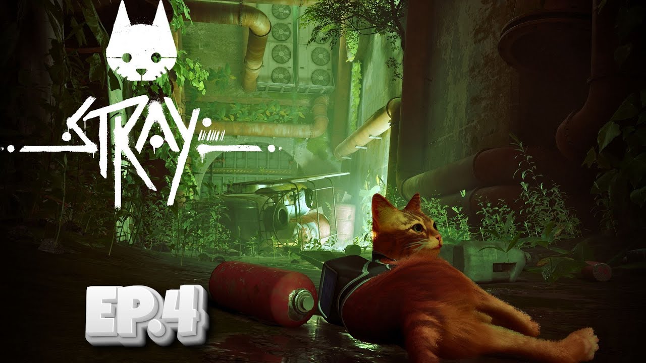 Stray | Episode 4 | Following the Secrets – Facing Our First Challenges ...