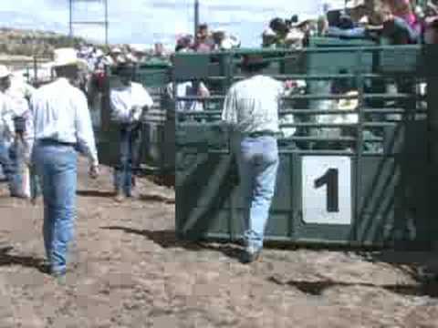 Mutton Bustin at the Paulina Rodeo 2008 - YouTube