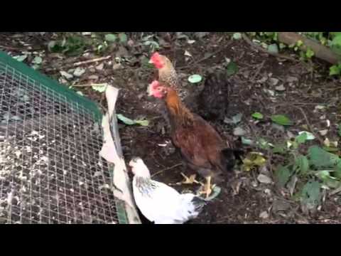 Babies first day out - YouTube