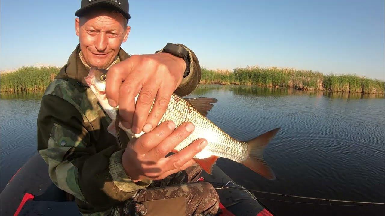 Рыбалка на Реке Язь на Спиннинг ранним Утром Youtube