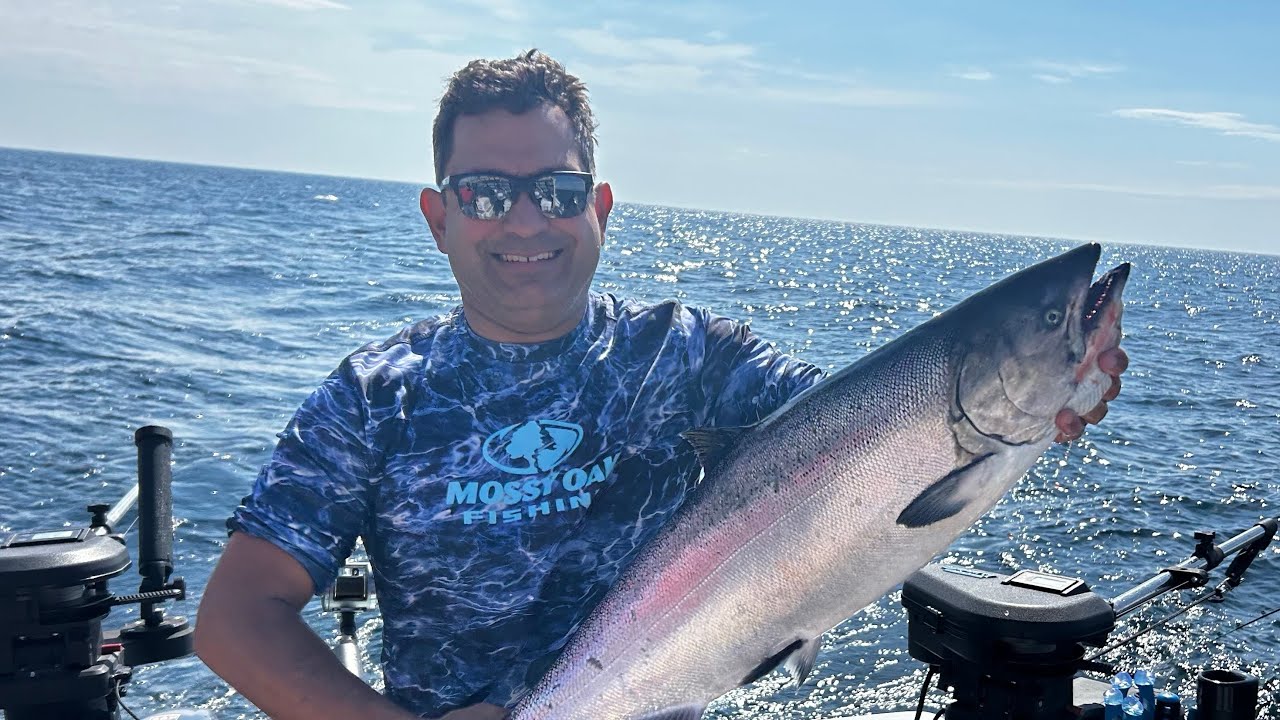 Toronto Fishing Report - June 22 2024 - ProjectSalmon.ca ...