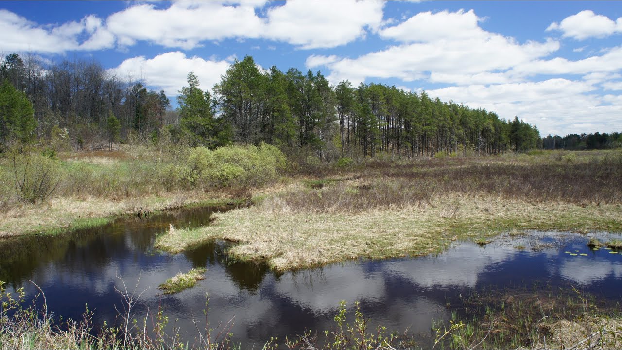 Hiking Michigan's High Country Pathway (HCP): 82 Mile 4 Day Solo Hike ...