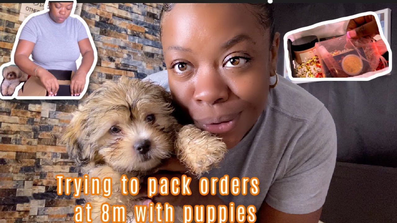 How to start a business from scratch (episode 5)Entrepreneur Life - YouTube