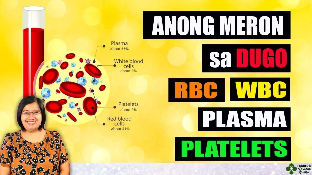 Ano Meron sa Dugo (RBC, WBC, Platelets, Plasma) - Tagalog Health ...