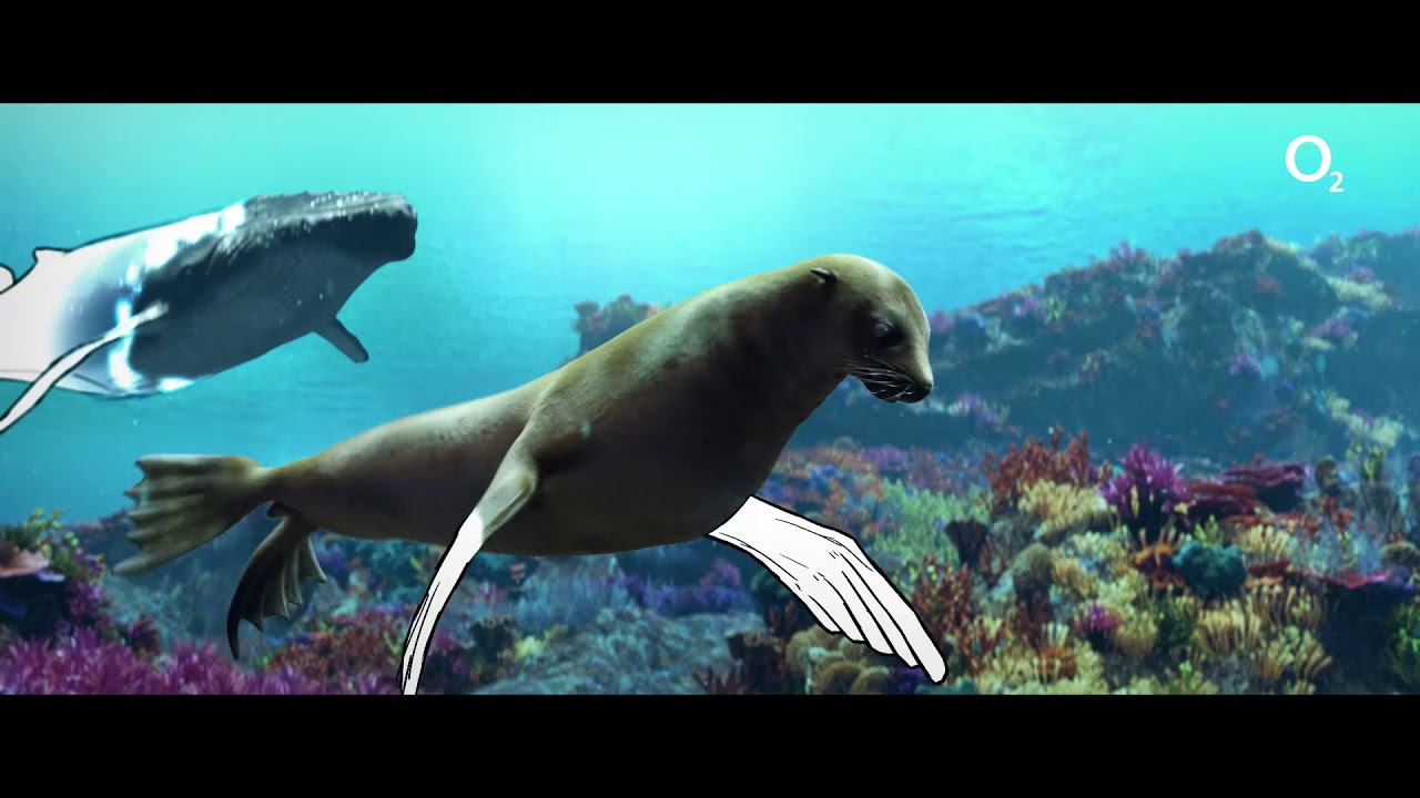 O2 Slovakia full CGI TV Commercial, Q3 2018 - YouTube