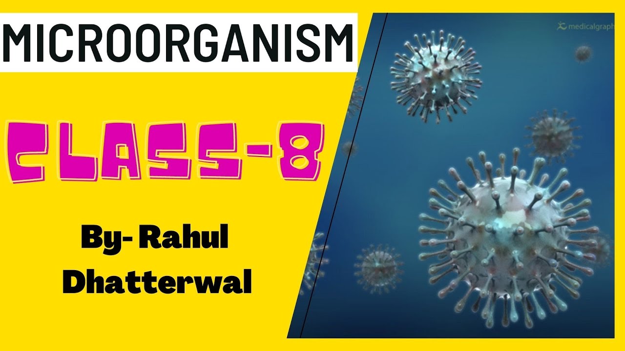 Microorganism Class - 8 Chapter -2 # 30 Minute mein chapter complete ...