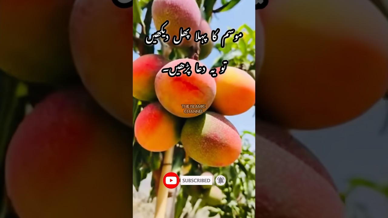 Dua for Eating New Fruit | Mosam ka Pehla Phal Khane ki Dua | # ...