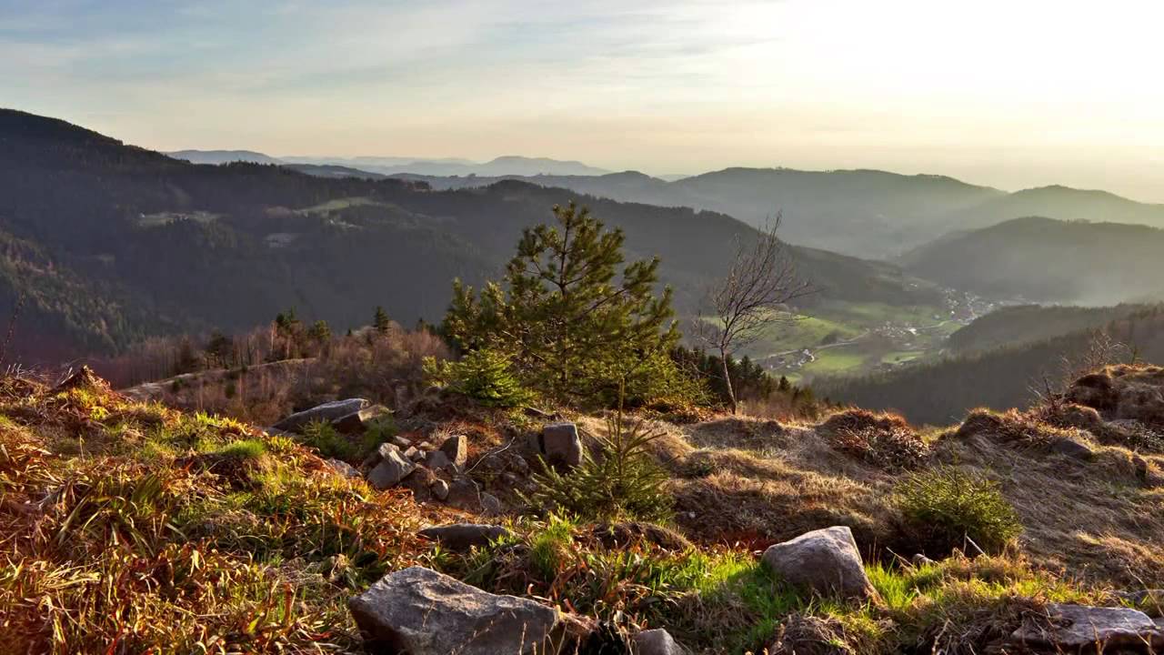 Slideshow Nationalpark Nordschwarzwald - YouTube
