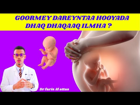 BISHEE HOOYADA UURKA LEH DAREENTAA DHAQ DHAQAAQA ILMHA❓Dr faris