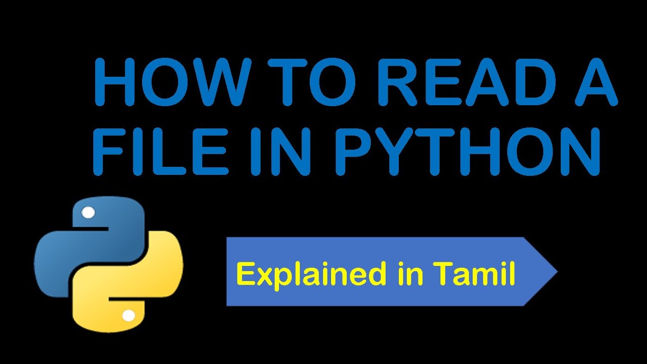 How To Read File Contents In Python Sample Program Code Explained