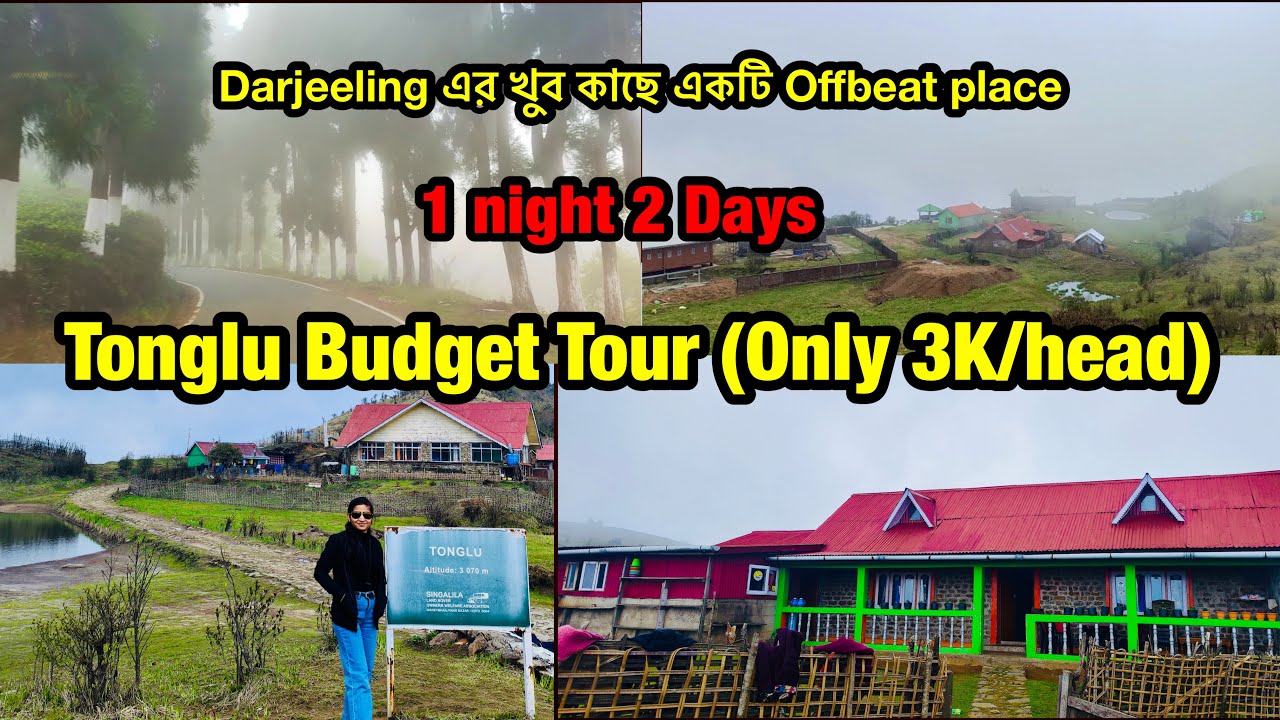 Tonglu Budget Tour || টোংলু ভ্রমণ || Tonglu Travel Guide - YouTube