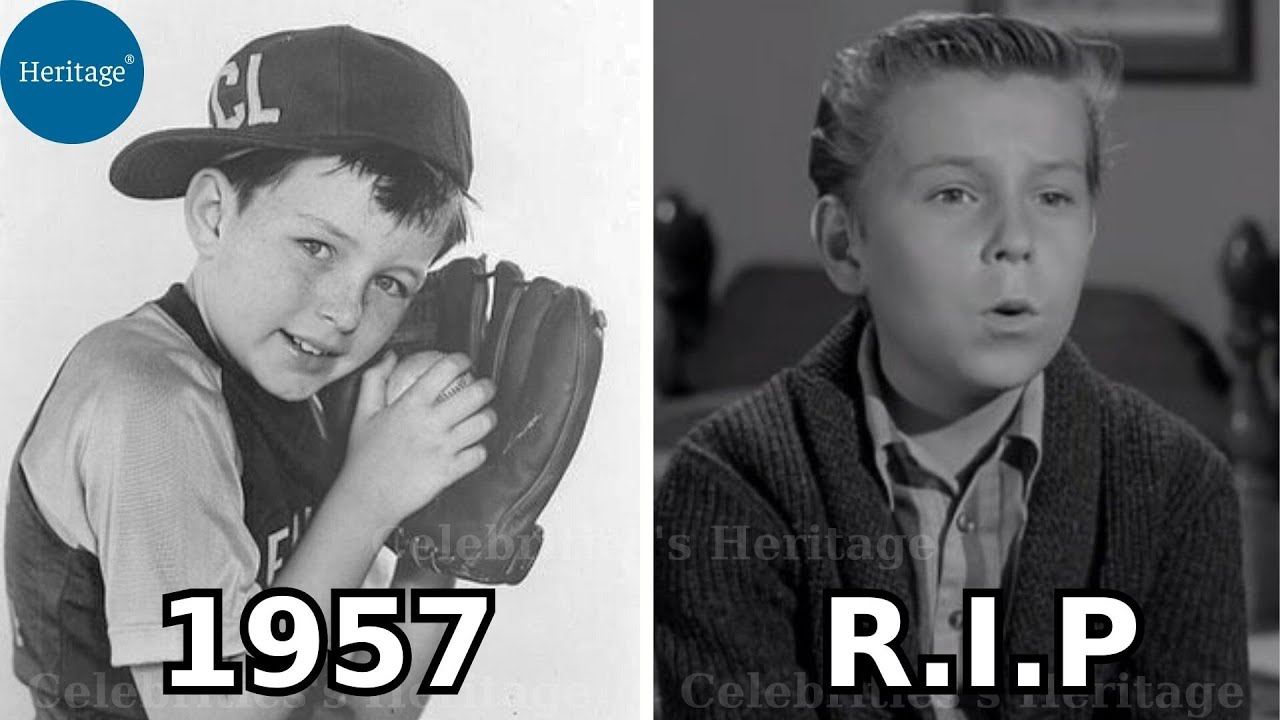 Leave It to Beaver (1957–1963) cast then and now 2024 who have ...