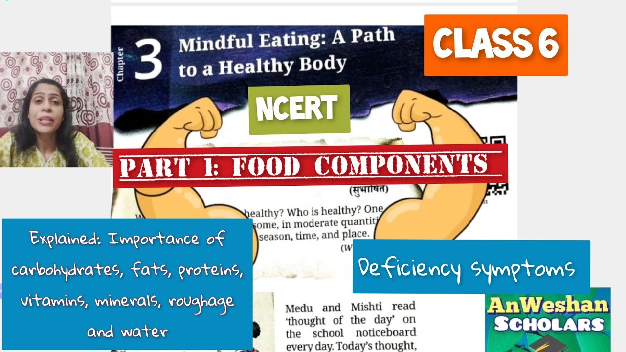 Class 6 Chapter 3 Mindful eating | NCERT Science Curiosity | Part 1 ...