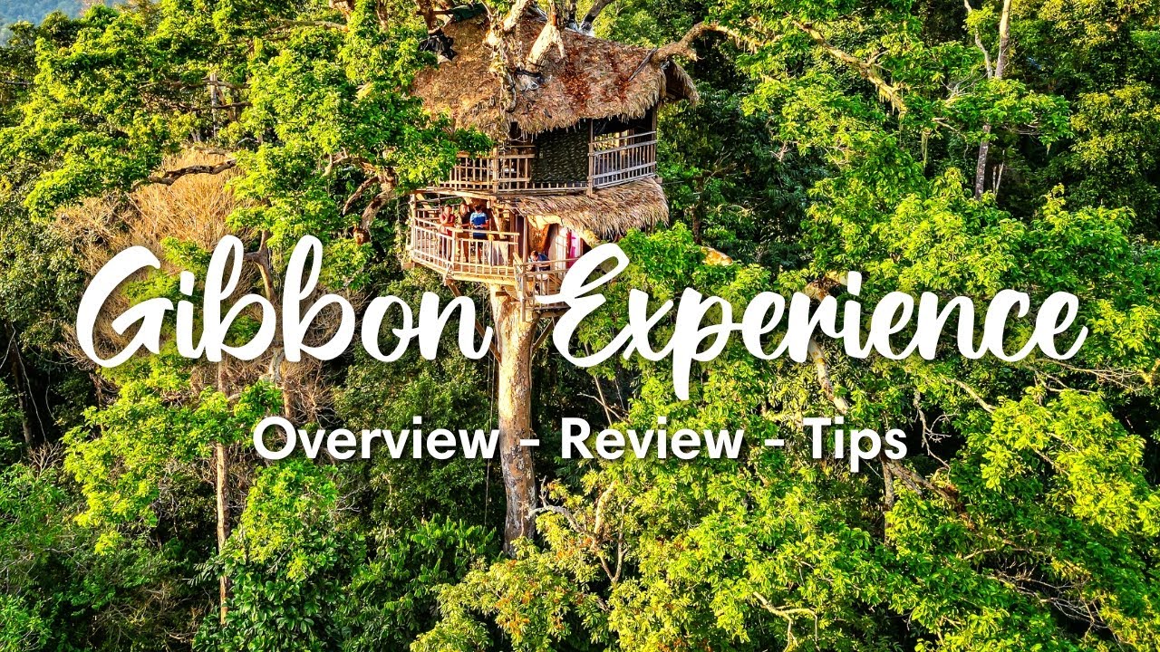THE GIBBON EXPERIENCE, LAOS (2024) | Overview 3-Day Classic Tour ...