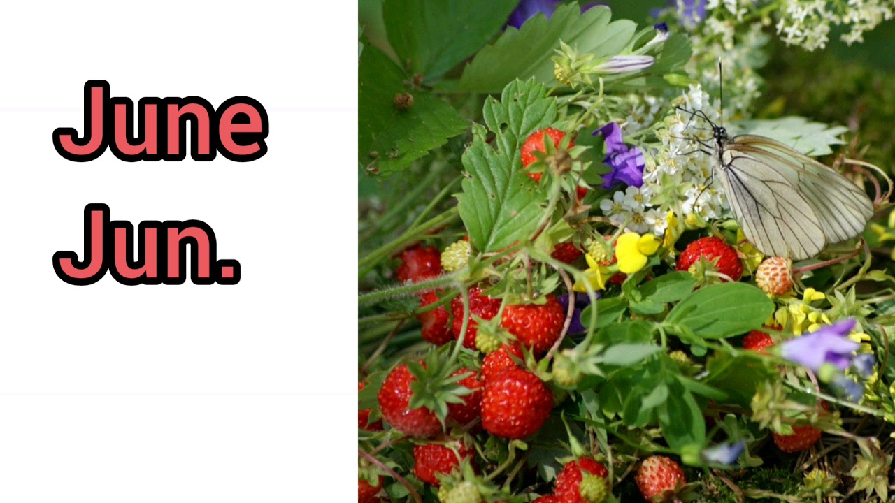 How to Pronounce June in American English - YouTube