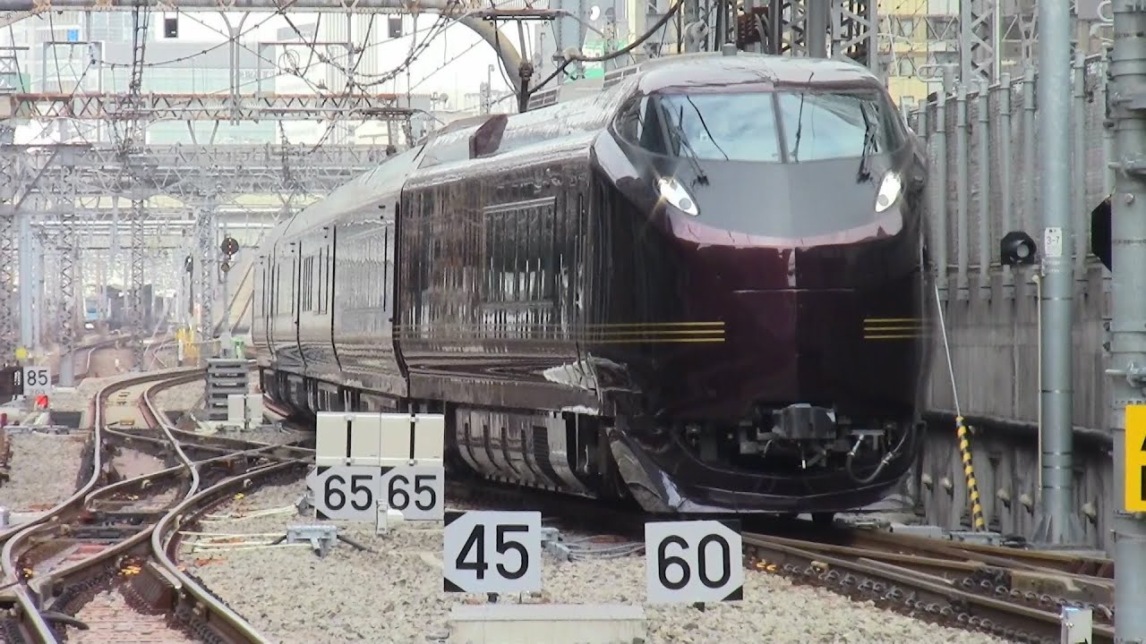 お召し列車E655系上野東京ライン試運転 東京駅到着・発車 Japanese royal train E655 series Ueno ...