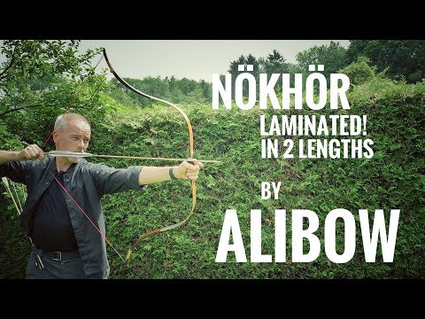 Nökhör laminated in 2 sizes by Alibow - Review