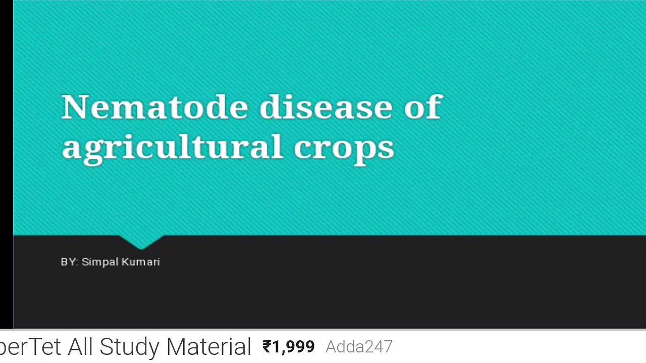 Nematode disease of agricultural crops//root knot nematode//root lesion ...