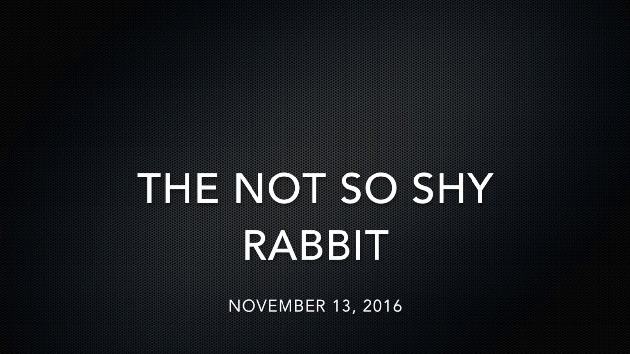 THE NOT SO SHY RABBIT - YouTube