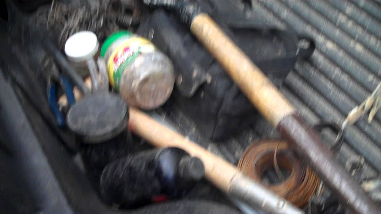 update from the fur shed - YouTube