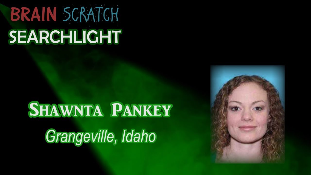 Shawnta Pankey on Brainscratch Searchlight - YouTube