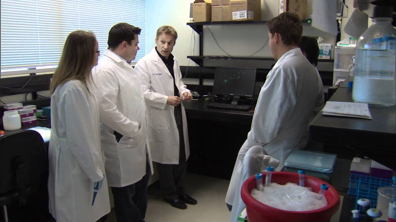 2011 Canada's Health Researcher of the Year Paul Kubes *Revised Video ...