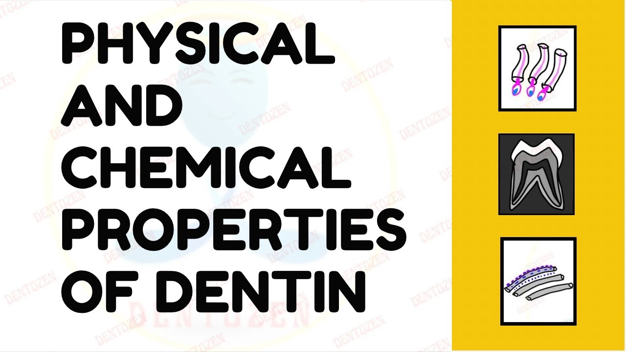 Dentin | Chemical Composition of Dentin | Physical Properties of Dentin ...