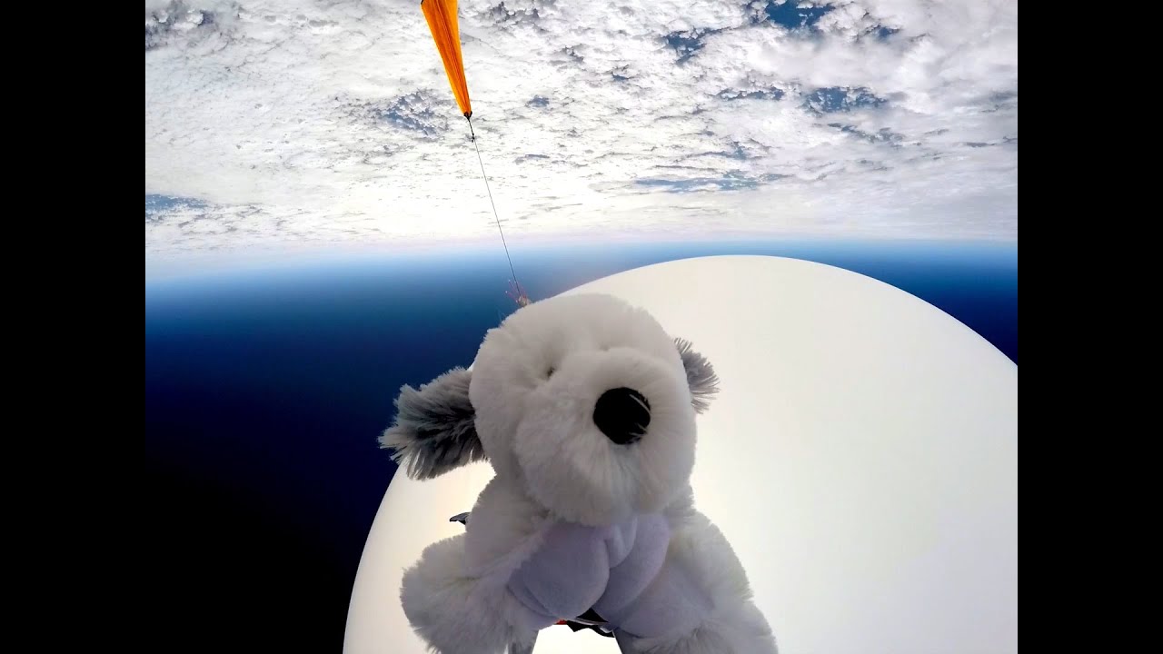 The Moment Sam the Toy Dog Was Lost in Space #FindSam - YouTube