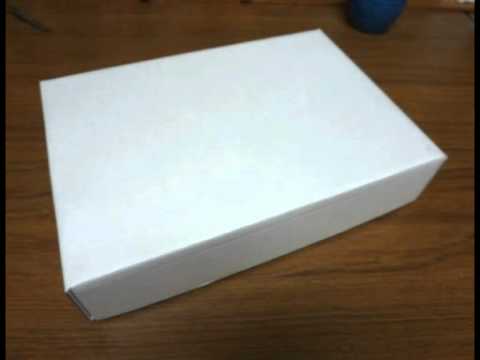 How to Make an Insect Collection: Part 11 of 11: Storage and Display ...