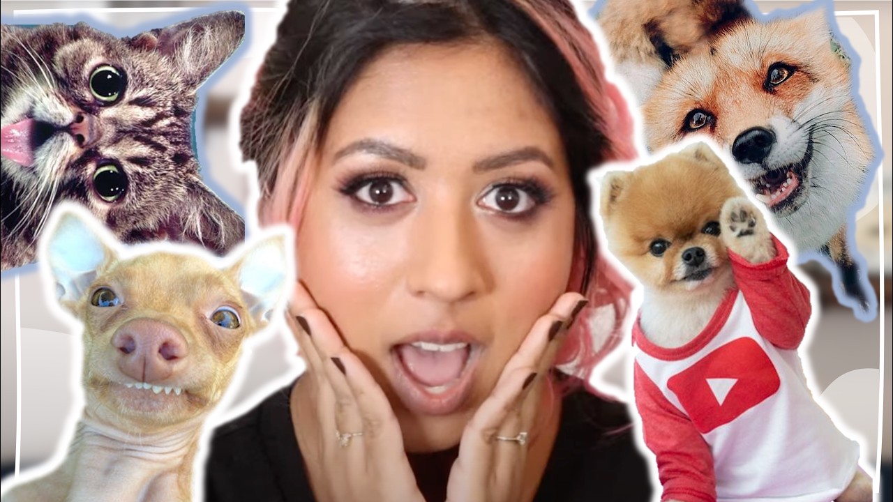 the cutest famous animals? 🥹 - YouTube