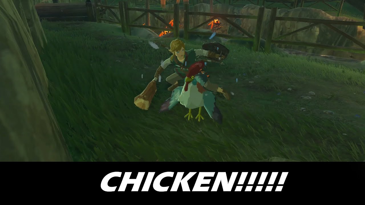 FINALLY FOUND THE BIRD!! Zelda: Breath of The Wild Gameplay 3 - YouTube