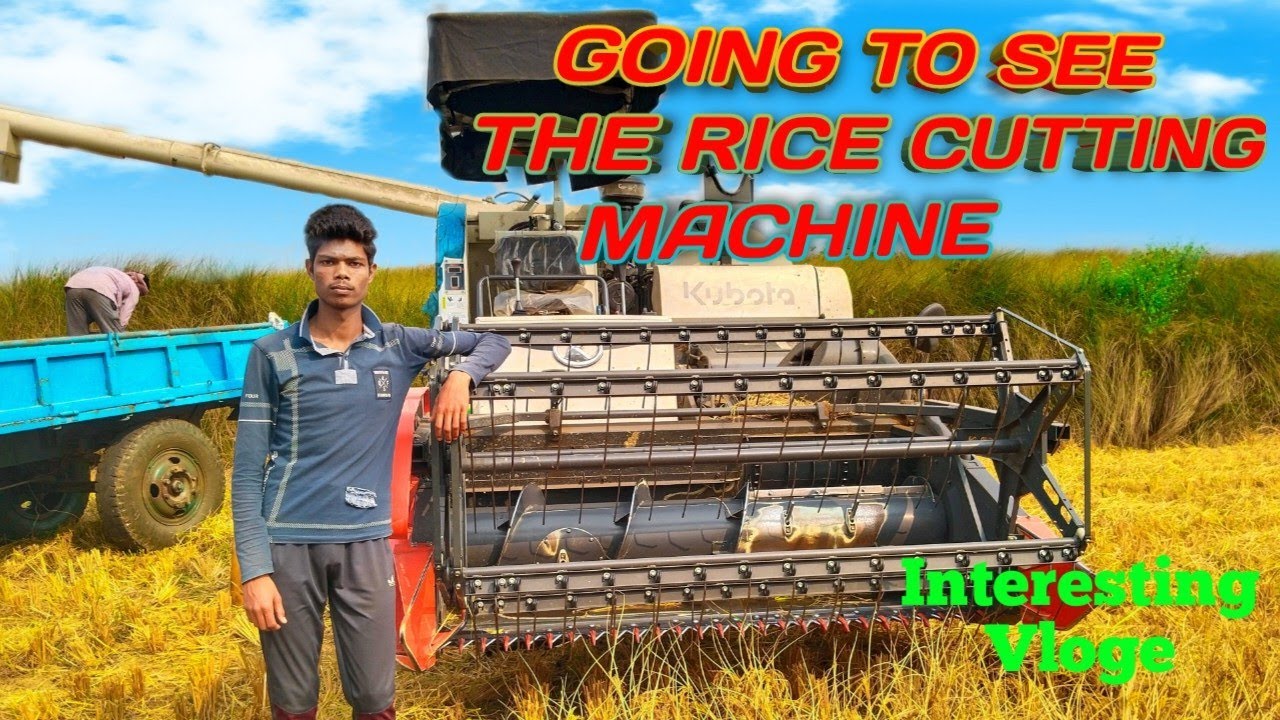 Going to see the rice cutting machine🚜 || আমার নদীর পাড়ে ধানকাটা দেখতে ...