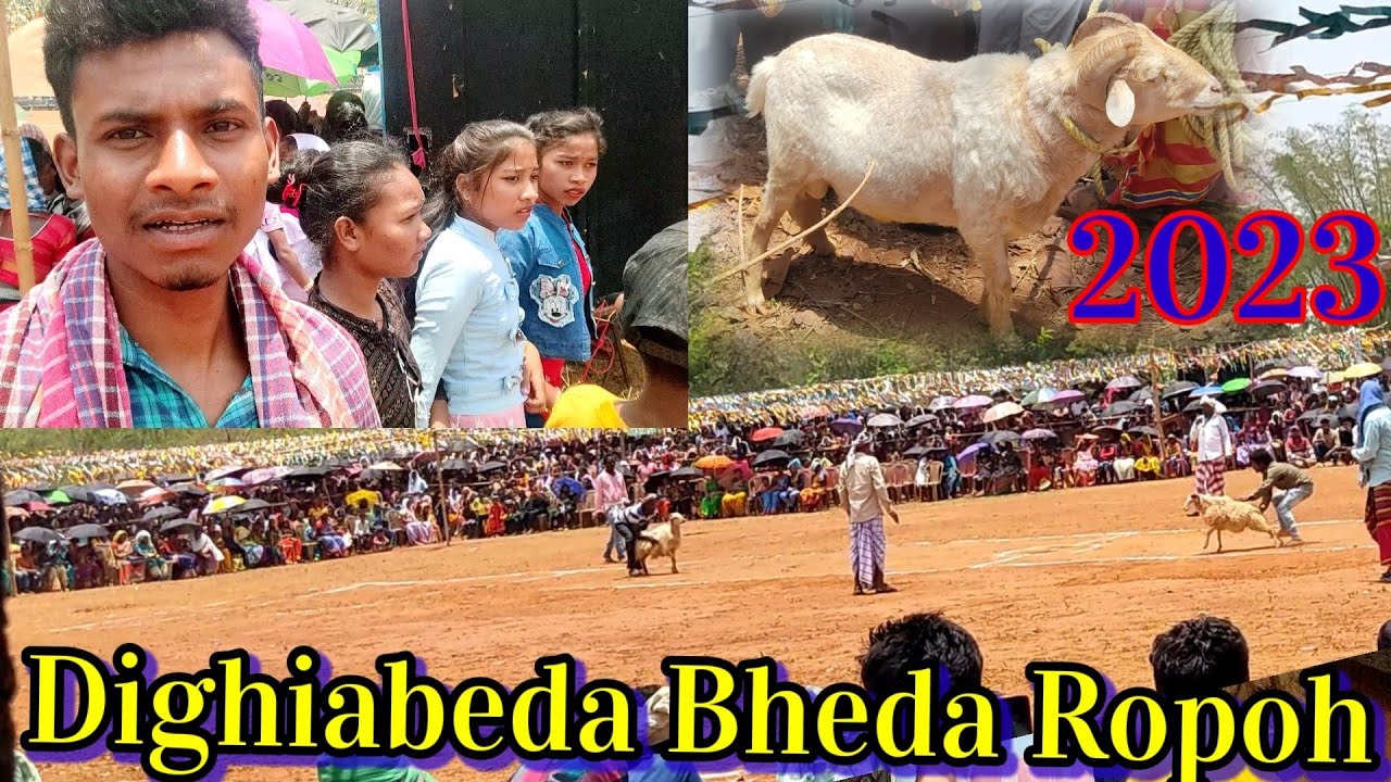 Dighiabeda Bheda ropoh Hiding kalah Ho Vlog video Mindi ropoh 2023 ...