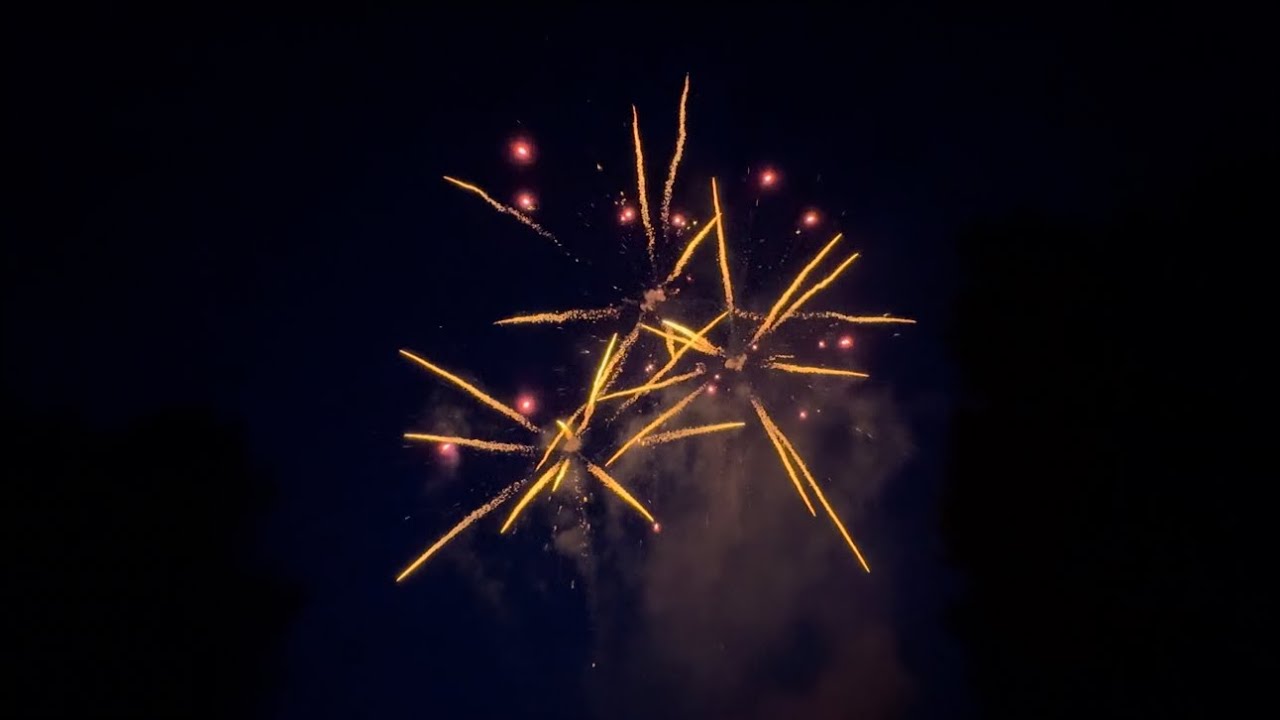 Show Me Your Kitties 200G firework New for 2024 World Class Fireworks ...