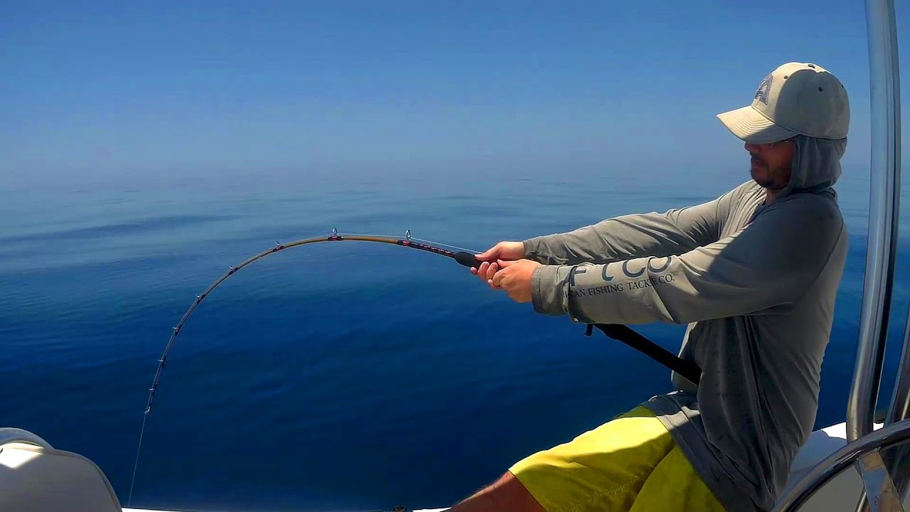 Amberjack Kept EATING Our Snapper! (Fort Myers Offshore Fishing) - YouTube