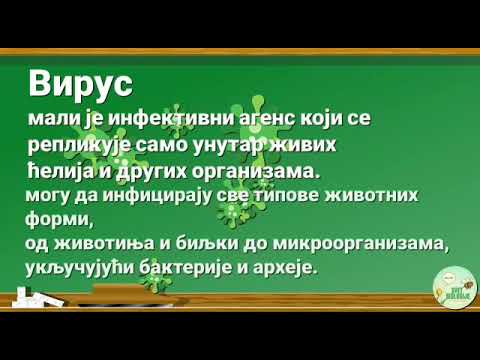 VIRUSI.NAČINI PRENOŠENJA.Gradja.DNK i RNK virusi.#covid19 #vakcinacija #vakcina Covid19. - YouTube