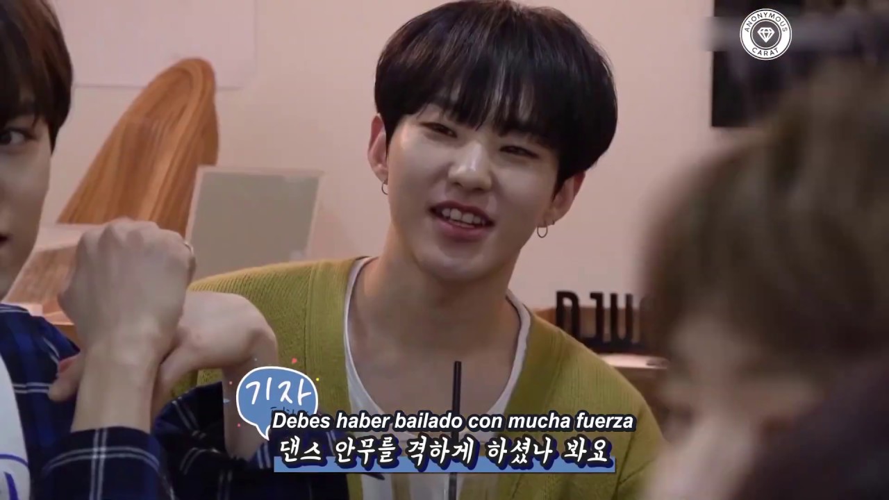 [SUB ESPAÑOL] 세븐틴 SEVENTEEN Tea Time Our Goal in 2019 Interview with ...