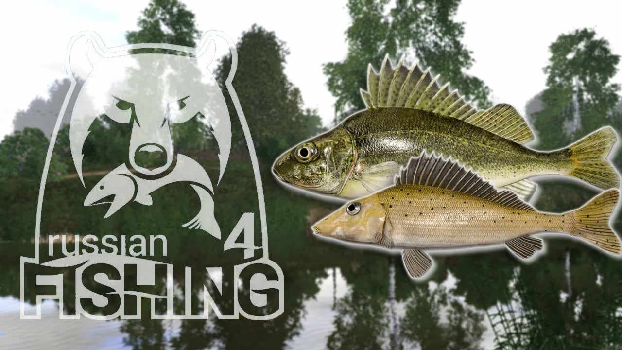 Winding Rivulet Donets Ruffe Ruffe Perch | Russian Fishing 4 Spot #1 ...
